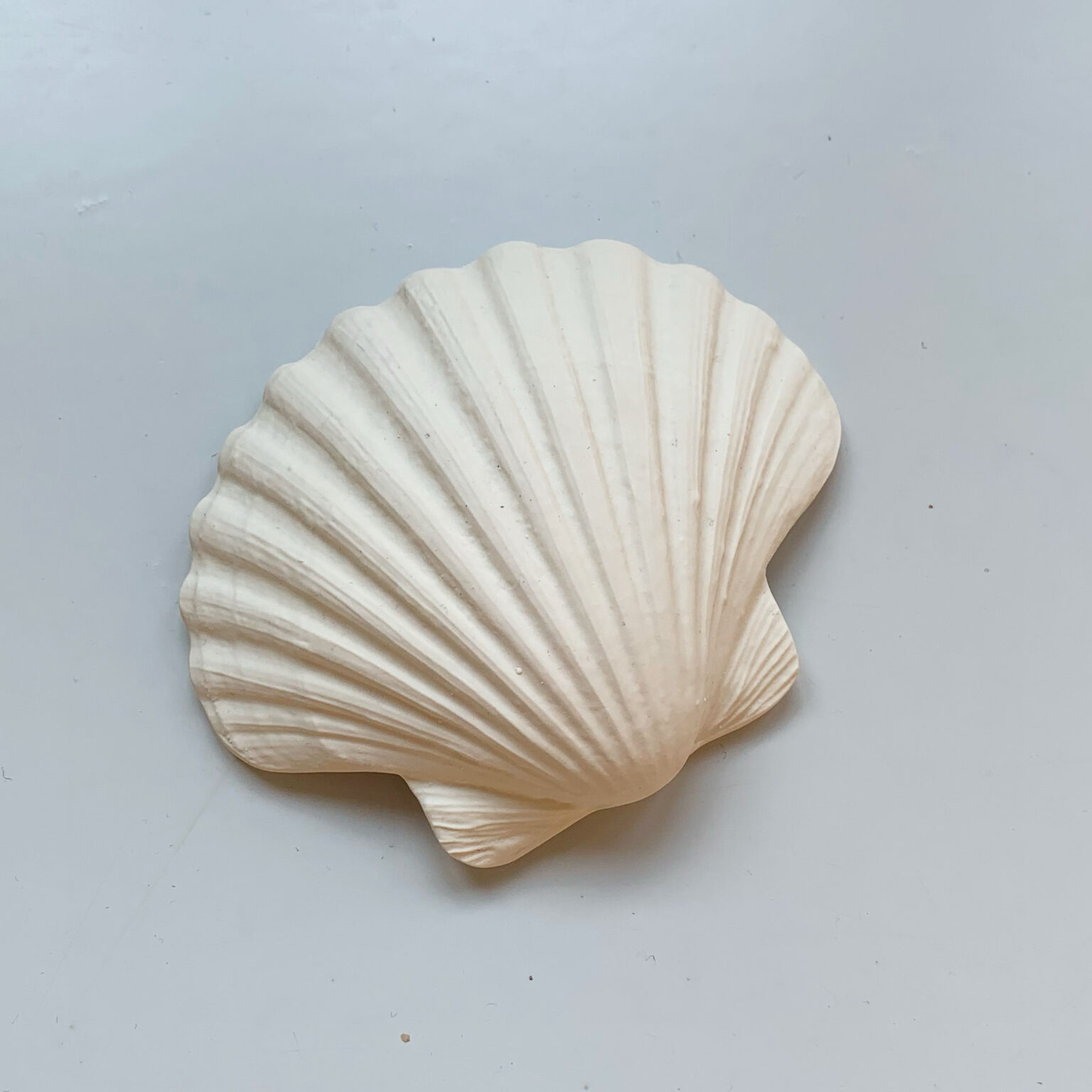 Lanco Teething Toy Shell – The Milk Minimalist